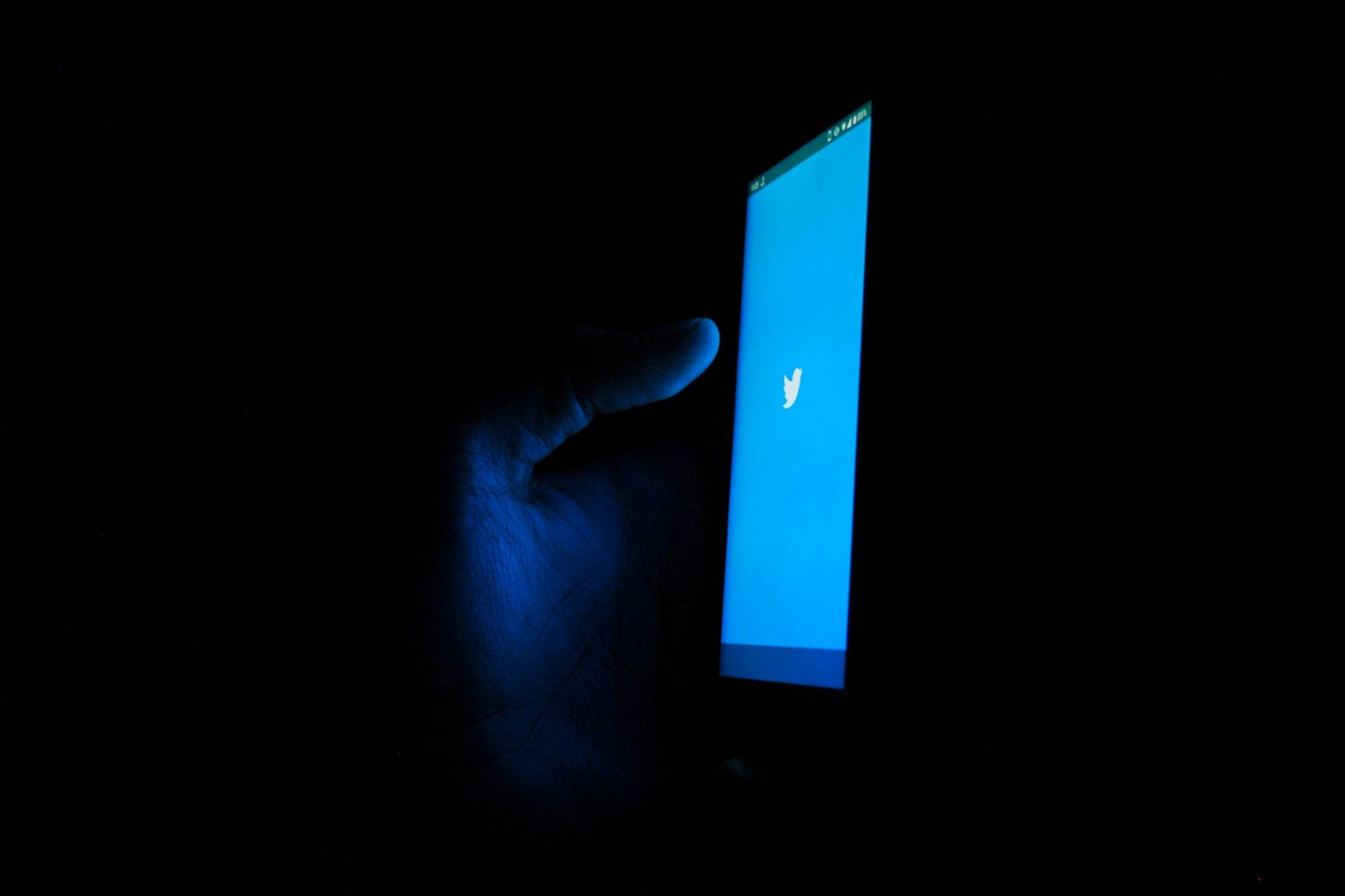 Twitter 'Shadow Ban' Flaw Receives Official CVE Number