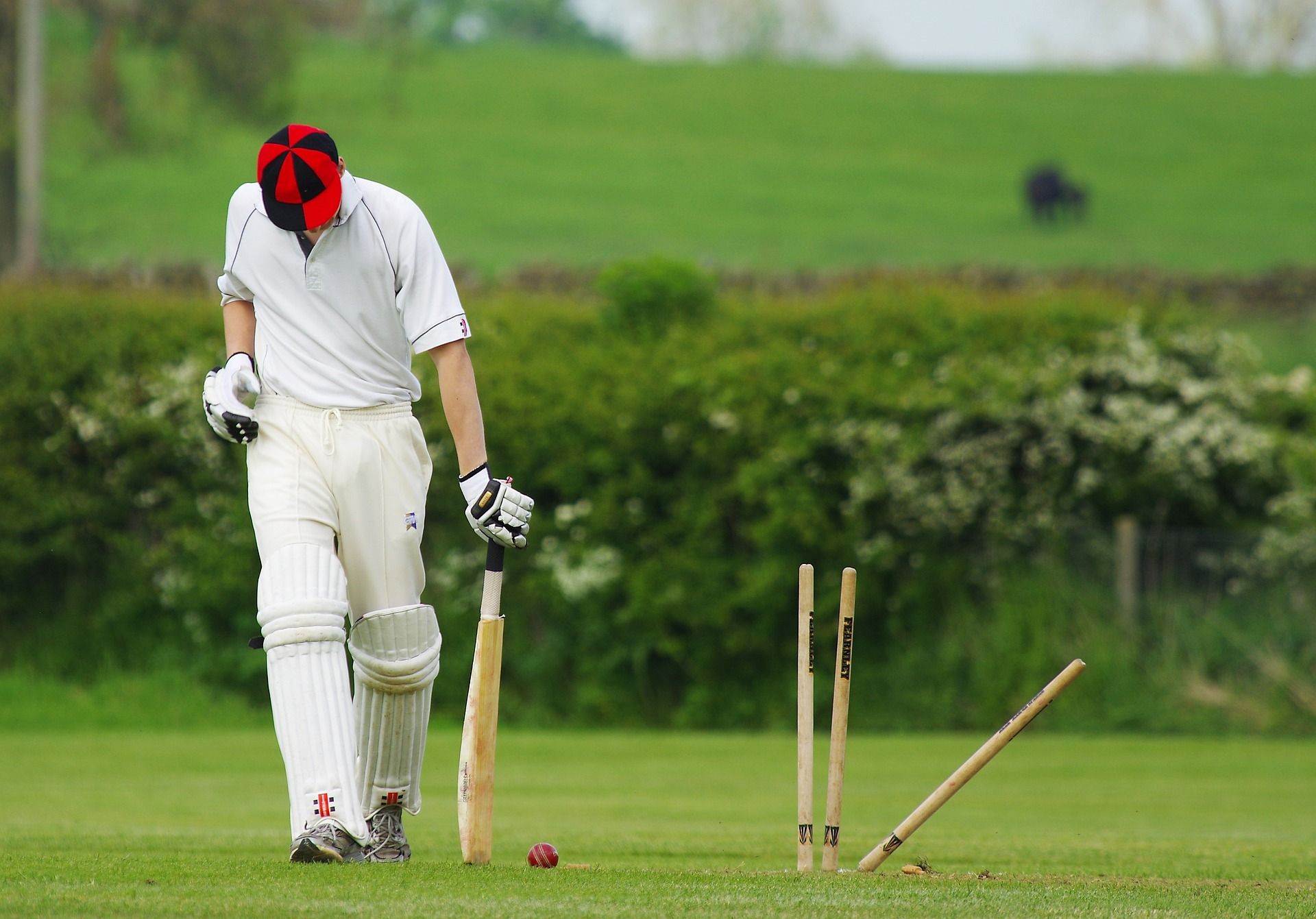 England and Wales Cricket Board database is up for grabs following data ...