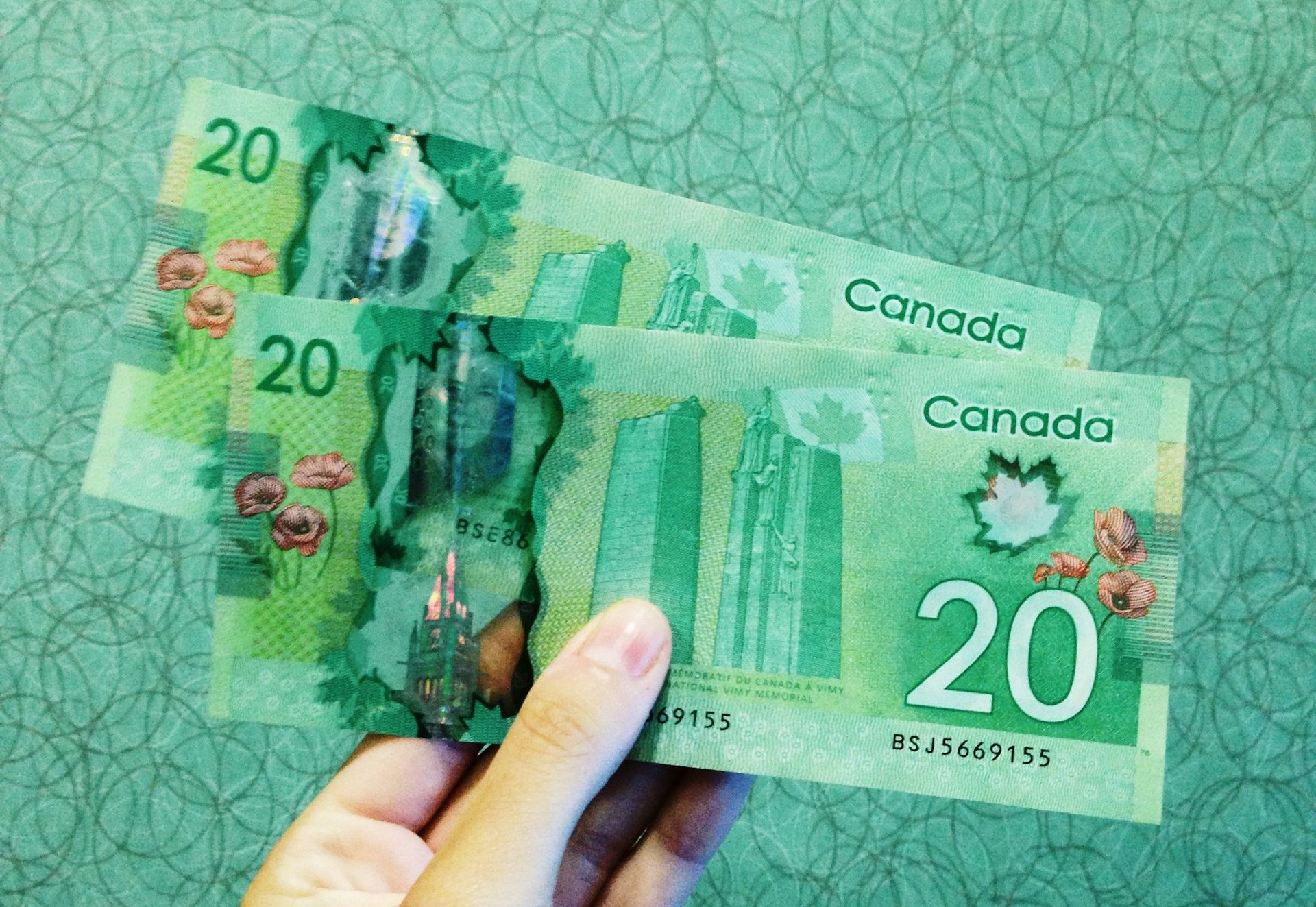 FINTRAC Takes Systems Offline After Cyber-Incident