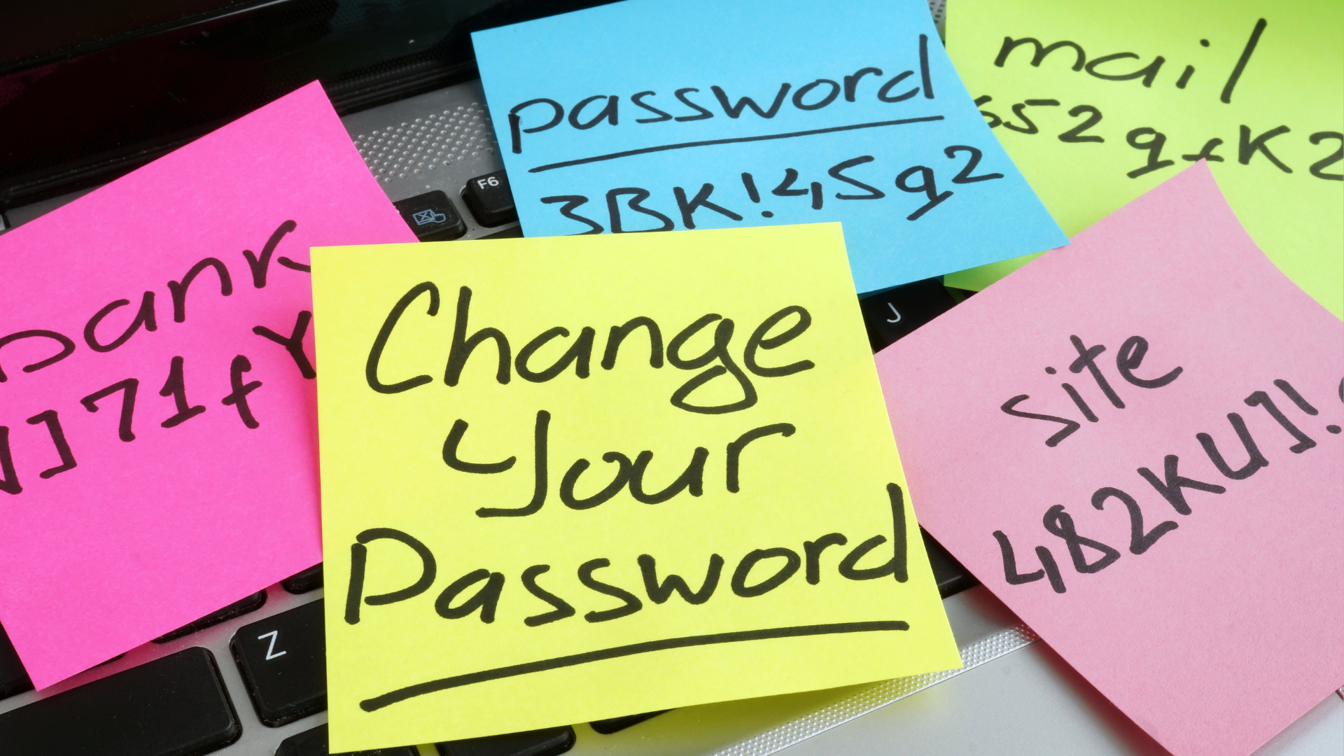 Change Your Password Day: Small Habit Changes That Pay Off All Year