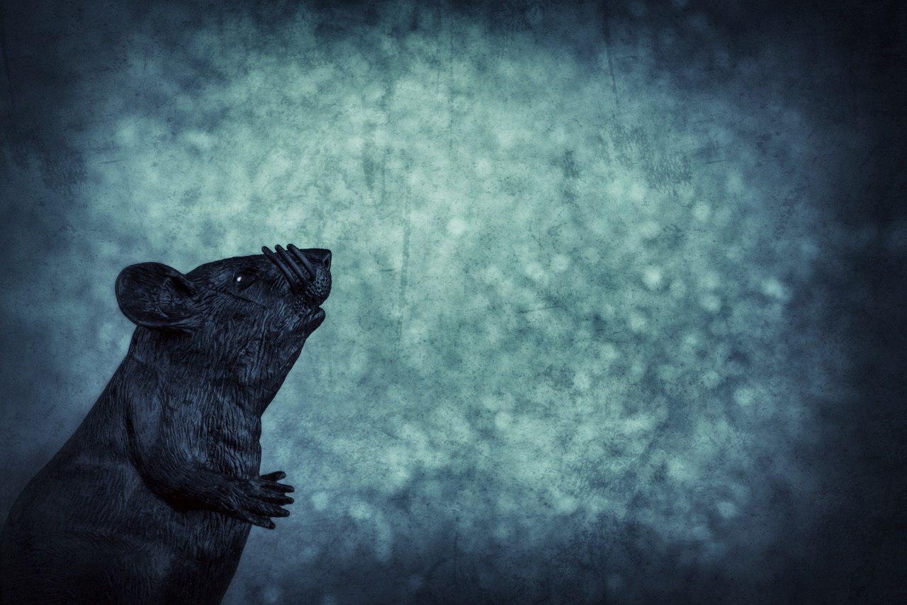 RadRAT: An all-in-one toolkit for complex espionage ops